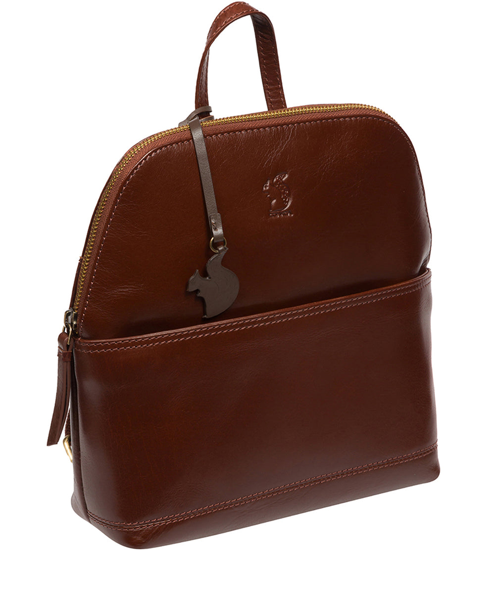 Brown Leather Backpack 'Hollis' by Conkca London
